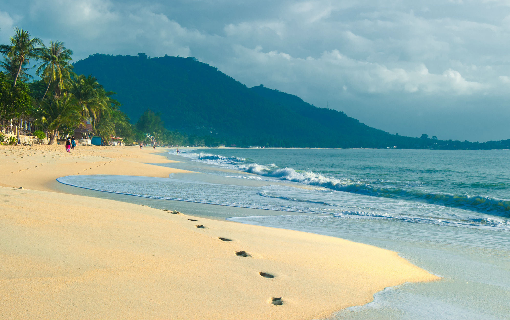 Koh Samui Fun Facts - The Luxury Signature