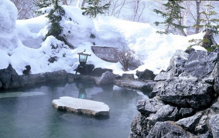 Niseko Onsens: Etiquette, Health Facts, and Where to Experience Them