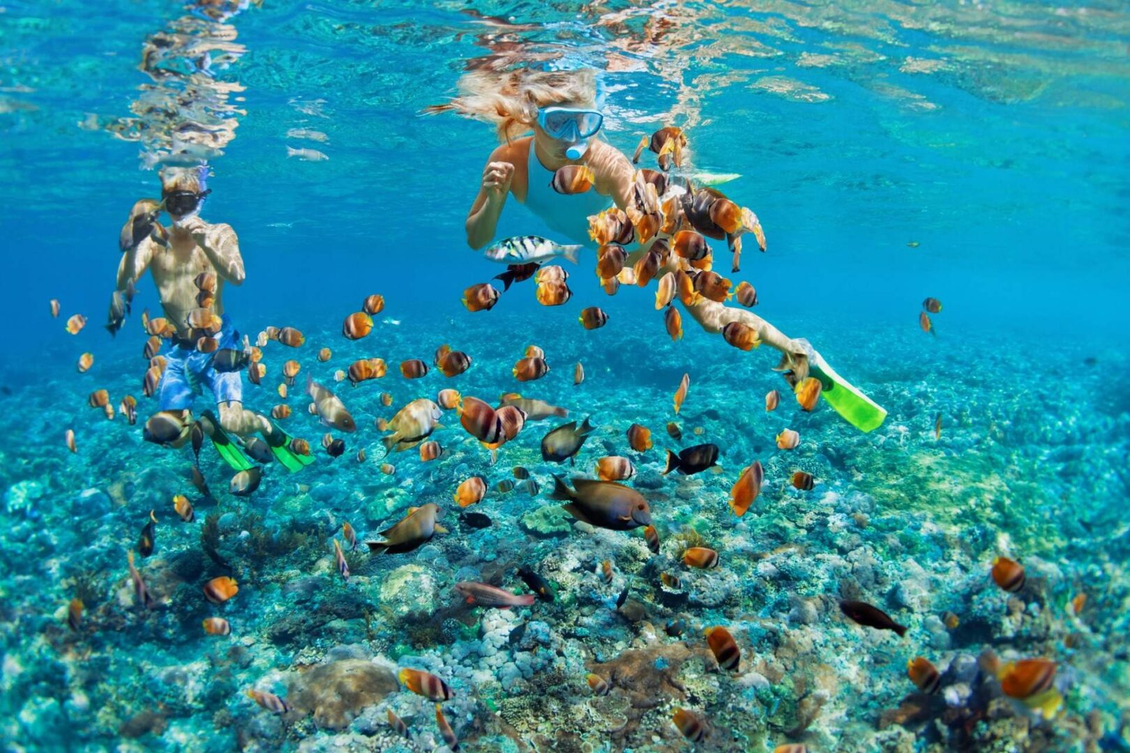 A Guide to Diving and Snorkeling in Phuket
